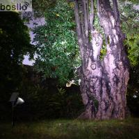 China IP65 Solar Panel Garden Lights for sale