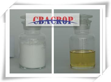 China Alpha-cypermethrin97%TC, 10%EC , 5%EC, 5%WP for sale