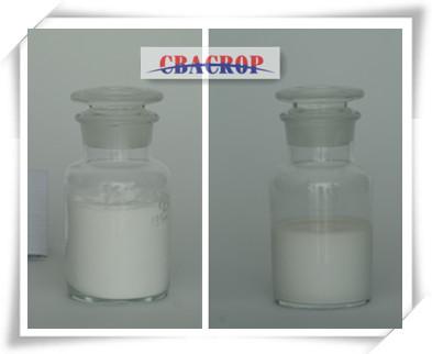 China Difenoconazole 95%TC, 30%SC, 25%EC, 15%WDG, 10%WDG for sale