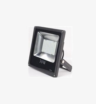 China 30W LED Flood Light Lamp Outdoor Garden Waterproof IP66 110-240V Slim 30w LED Flood Light for sale