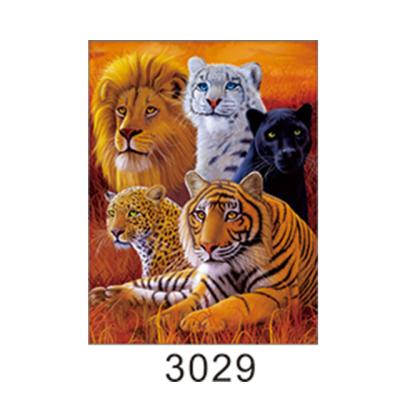 Cina le immagini di dimensione 3D di 30x40cm degli animali 0.6mm PET il bene durevole materiale in vendita