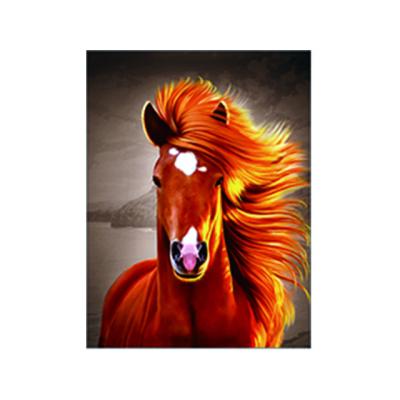 Cina le immagini di dimensione 3D di 30x40cm degli animali 0.6mm PET il bene durevole materiale in vendita