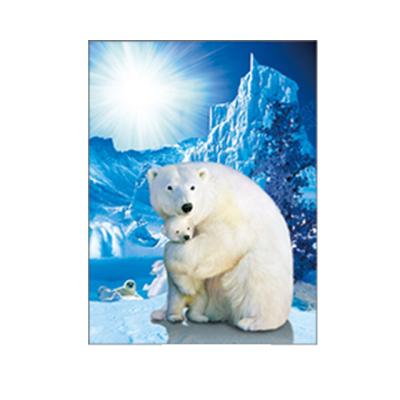 China Van de Fotografiesealife van de woonkamerdecoratie 3D Lenticular de Dolfijnbeelden met Diep Effect Te koop