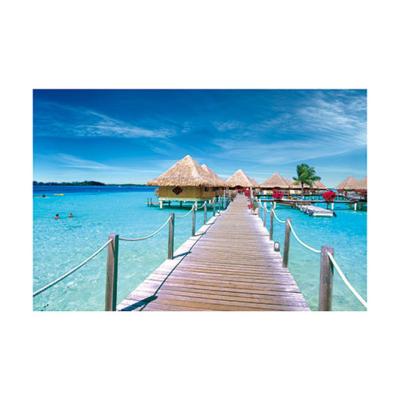 China do efeito Lenticular da profundidade 3D cartaz Lenticular da paisagem cartaz/3D do ANIMAL DE ESTIMAÇÃO 40*60cm de 0.6mm à venda