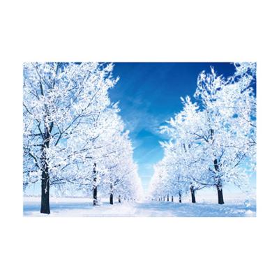 China do efeito Lenticular da profundidade 3D cartaz Lenticular da paisagem cartaz/3D do ANIMAL DE ESTIMAÇÃO 40*60cm de 0.6mm à venda