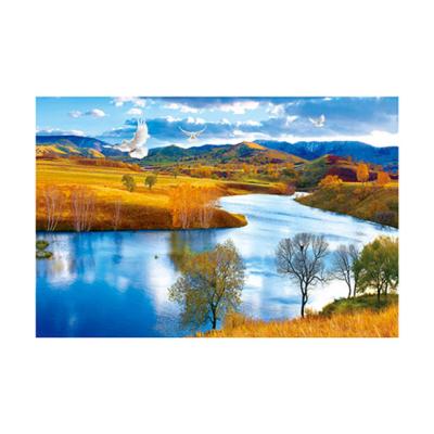 China do efeito Lenticular da profundidade 3D cartaz Lenticular da paisagem cartaz/3D do ANIMAL DE ESTIMAÇÃO 40*60cm de 0.6mm à venda