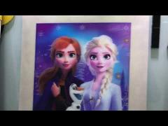 PVC / MDP Frame 3D 5D Pictures Different Animal Patterns Wall Decoration
