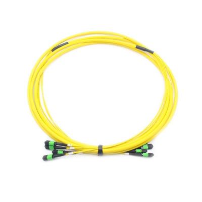 China 48F MPO/MTP Trunk Cable With MT‑Based Multi‑Fiber Connector for sale
