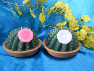 China Art Candles/Decorative Candles- NB-YM041 for sale