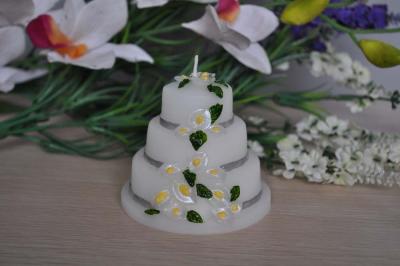 China Art Candles/Decorative Candles- NB-YM051 for sale