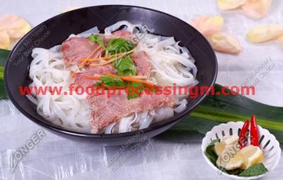 China Longer Brand Commercial Cold Rice Noodle Making Machine|ho fun making machine for sale for sale