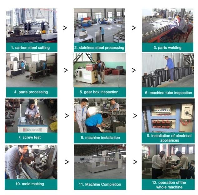 Supply Turnkey Dog Food Plant/Pet Food Extrusion Machine