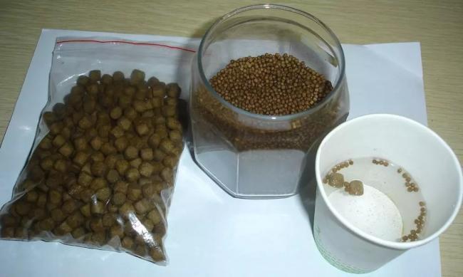 Hot Export small extruder pet feed machine processing line