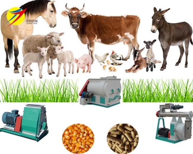 Chicken hens broiler feed pellet making machine with high quality