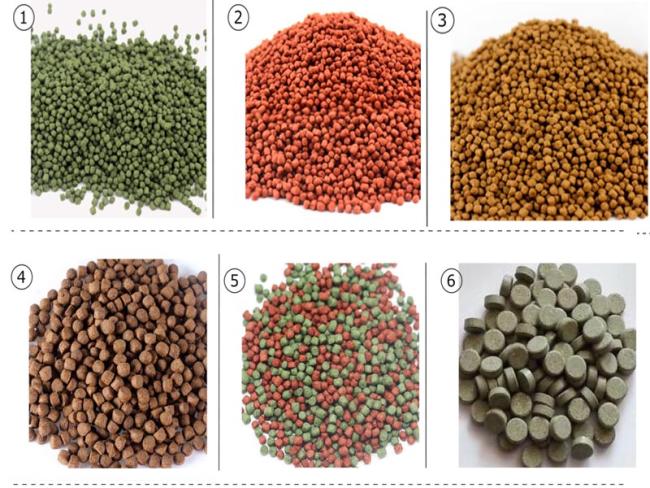 Automatic Aquatic Feed Pellet Bulking Machine Pet Fish Food Extrusion Production Plant