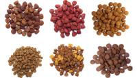 China High Speed Processing Pet Feed Pellet Making Machine for sale