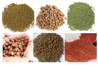 China Fully Automatic Stainless Steel Fish Feed Processing Machine for sale