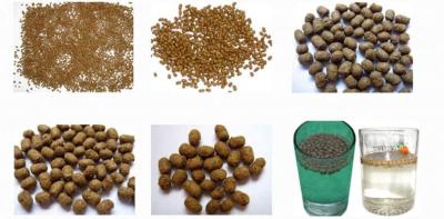 China Service in place operation teaching pet food extruder machine for sale
