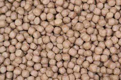 China fish feed manufacturer fish food machine extruder plant for sale