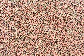 Cina il pesce doppio della vite 100kg/h-6t/h alimenta l'espulsore per fare galleggiare la macchina della pallina dell'alimentazione del pesce in vendita