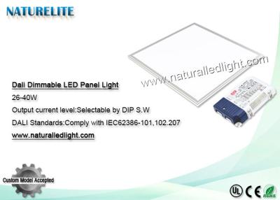 China Room  Dimmable 12v Led Panel Lights  Cool White Indoor Super Bright for sale