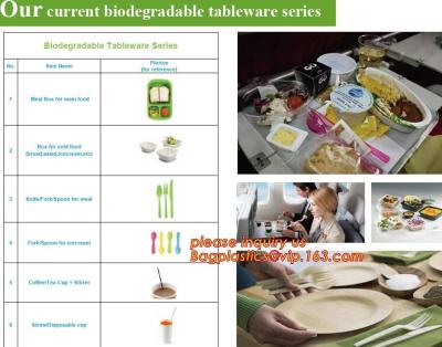 Cina vassoio rotondo di plastica biodegradabile dell'alimento dell'amido di mais, vassoio eliminabile ecologico dell'alimento di 4 compartimenti dell'amido di mais con il coperchio in vendita