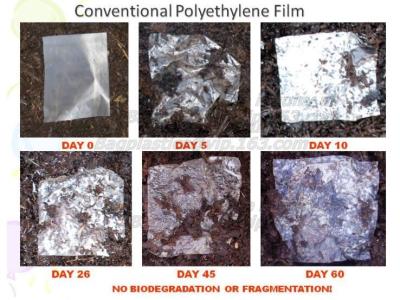中国 コーンスターチはドローストリングが付いているロールで100%のecoに友好的な直接製造業の工場をcompostableごみ袋作りました 販売のため