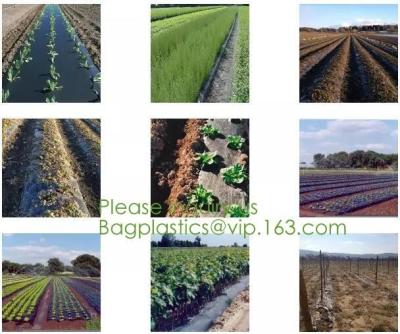 Cina Il produttore EN13432 film agricolo concimabile e biodegradabile di 100% della fabbrica del pacciame, pianta dell'amido ha basato il PA del film dell'involucro in vendita