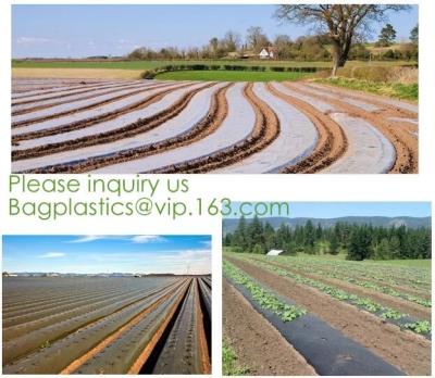 Cina Il produttore EN13432 film agricolo concimabile e biodegradabile di 100% della fabbrica del pacciame, pianta dell'amido ha basato il PA del film dell'involucro in vendita