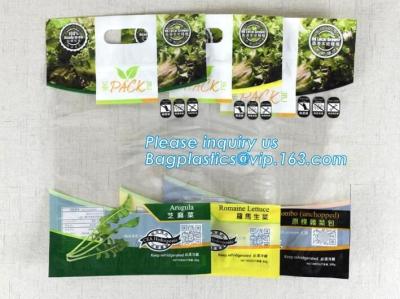 중국 슬라이더 자물쇠 포장 주머니 배기공 및 손잡이의 포도 부대/망고 부대/과일 야채 슬라이더, 슬라이더 Zip 자물쇠 지퍼 Fr 판매용