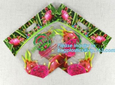 중국 야채, 쿼트 지플락 저장을 위한 마이크로 관통되는 비닐 봉투는 여분 청신함 과일 그립 s를 위한 reclosable 부대를 자루에 넣습니다 판매용