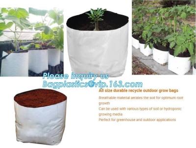 China Bolsos enormes durables del plantador del árbol del polietileno, bolsos crecientes resistentes, Growin plástico blanco negro estabilizado ULTRAVIOLETA eficaz en venta
