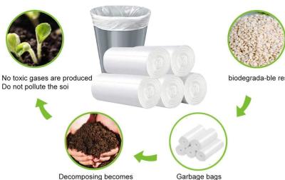 Cina Borse della composta, borse impresse di Liner Compostable Garbage del carrello dei rifiuti alimentari, sacchetti di plastica biodegradabili del commestibile della composta in vendita