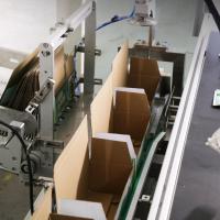 China Automatic Small Bag Pesticide Case Packing Machine for Efficient and Precise Packaging of Pesticide Products for sale