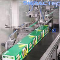 China Automatic Small Bag Pesticide Case Packing Machine for Efficient and Precise Packaging of Pesticide Products for sale