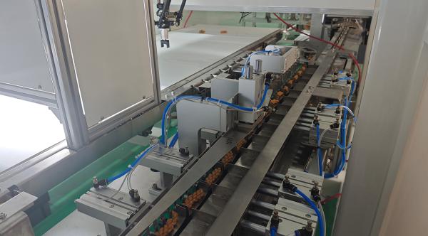 Quality Automatic Puffed Food Cartoning Machine with High-Speed Operation and Precision for sale