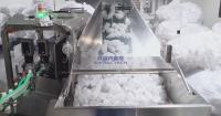 China Automatic Disinfectant Filling Machine with Servo Diving Filling and Zero-Leak Precision Capping System for sale