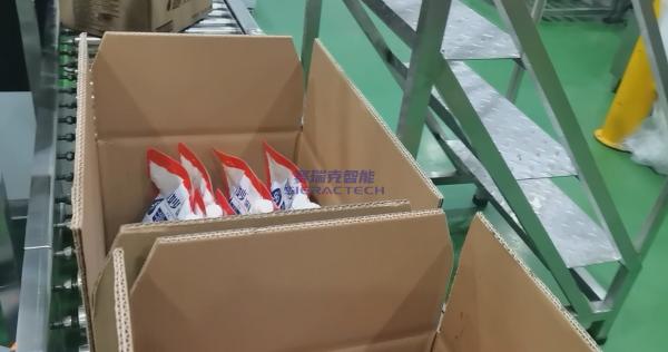 Quality Automatic Large Pouch Laundry Detergent Case Packing Machine with Robotic Soft for sale
