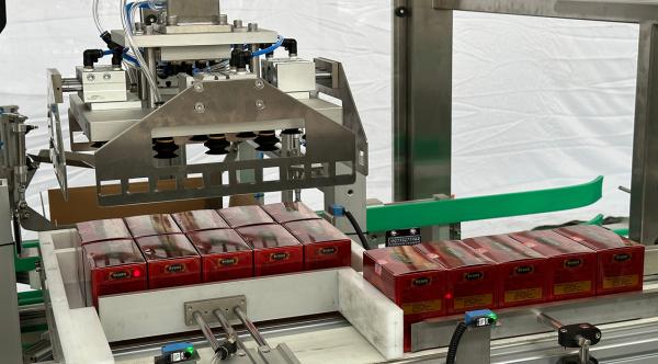 Quality Automatic Foot Bath Liquid Case Packing Machine with Precision Robotic Handling for sale