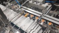 China Automatic Small Bottle Oral Spray Cartoning Machine with Servo Feeding and Leaflet Insertion System for sale