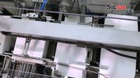 China Automatic Rice Flour Sachet Horizontal Cartoning Machine with Continuous Servo Feeding System for sale