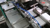 China Automatic Rice Flour Sachet Horizontal Cartoning Machine with Continuous Servo Feeding System for sale
