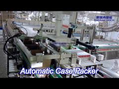 automatic ice cream box case packing machine with servo collation and robotic case loading system
