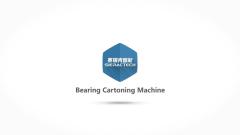 Automatic Bearing Cartoning Machine with Servo Feeding and Industrial Packaging Automation System