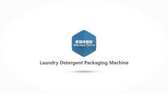 Large Pouch Laundry Detergent Case Packaging Machine