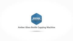 Automatic Amber Glass Bottle Capping Machine with Servo Torque Control