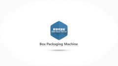 Case Packing Machine for Small Bags