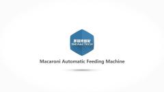 Automatic Bulk Product Feeding System for Macaroni Packaging Lines
