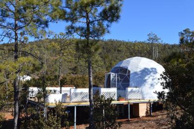 China White PVC Wind Resistant Sidewall Party Geo Dome Tent With Steel for sale