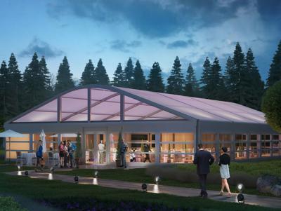 China Popular Steel Frame Extra Large Curve Removable Airplane Aircraft Hangar Sport Shelter Tent for sale